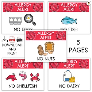 Allergy Alert Posters | Classroom Poster Signs | Decor | Visual ...