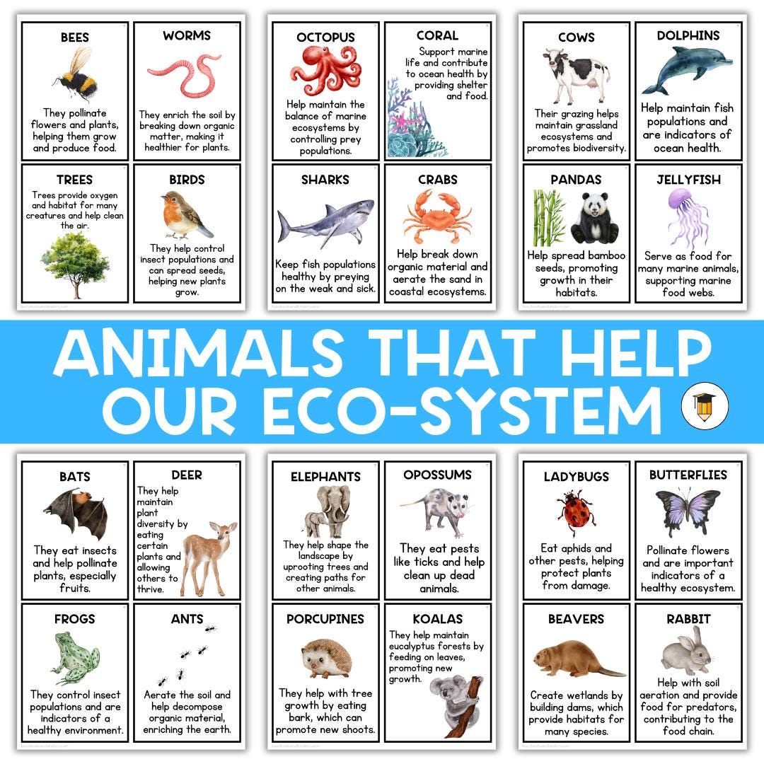 30 ANIMAL FACTS | Flashcards | Farm Animals | Zoo Animals | Wildlife ...