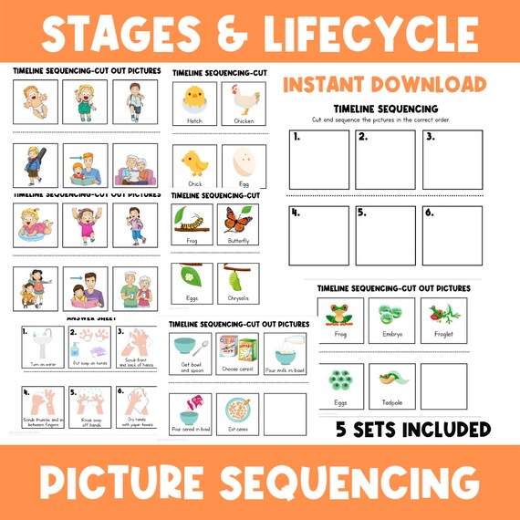 Stages and Lifecycle Picture Sequencing Human Handwashing | Etsy