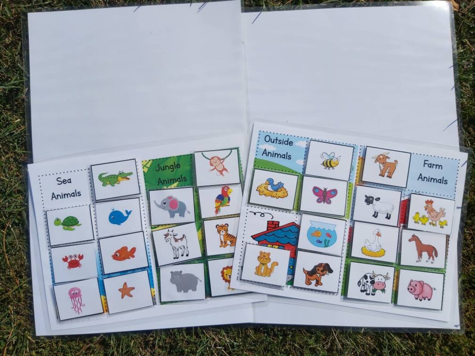 Animal Sorting Activity Animal Activities Busy Book - Etsy