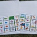 Animal Sorting Activity, Animal Activities, Busy Book, Homeschool ...