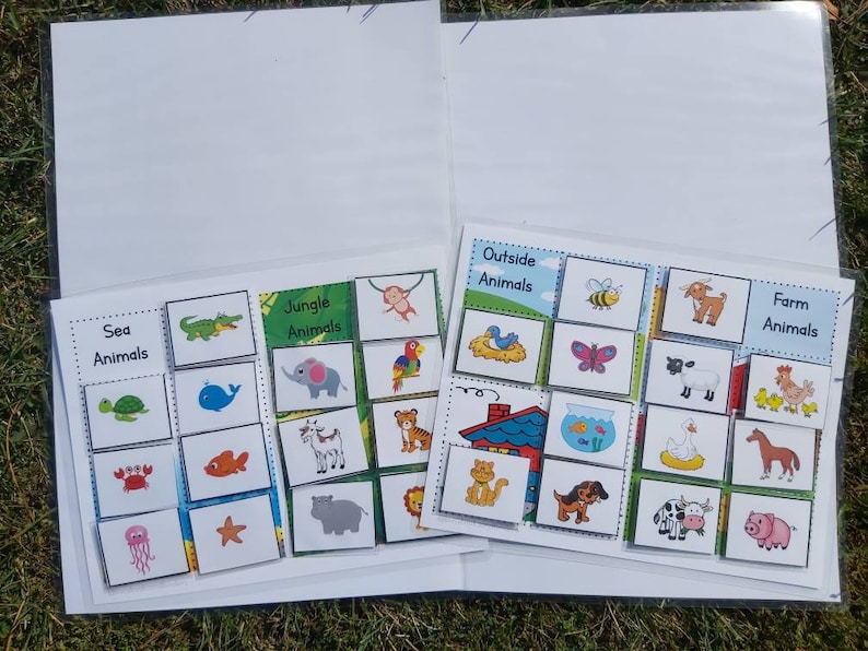 Animal Sorting Activity, Animal Activities, Busy Book, Homeschool ...