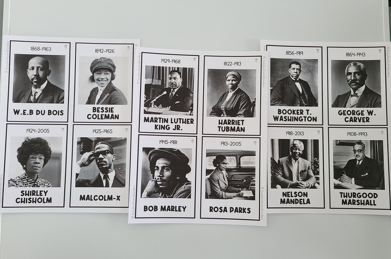 12 Black History Flashcards | Bulletin Board Display | Black History ...