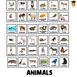 250 FRENCH | Picture Cards | First Then Board | Visual Aid | Schedule ...