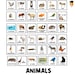 250 FRENCH Picture Cards First Then Board Visual Aid Schedule Toddler ...