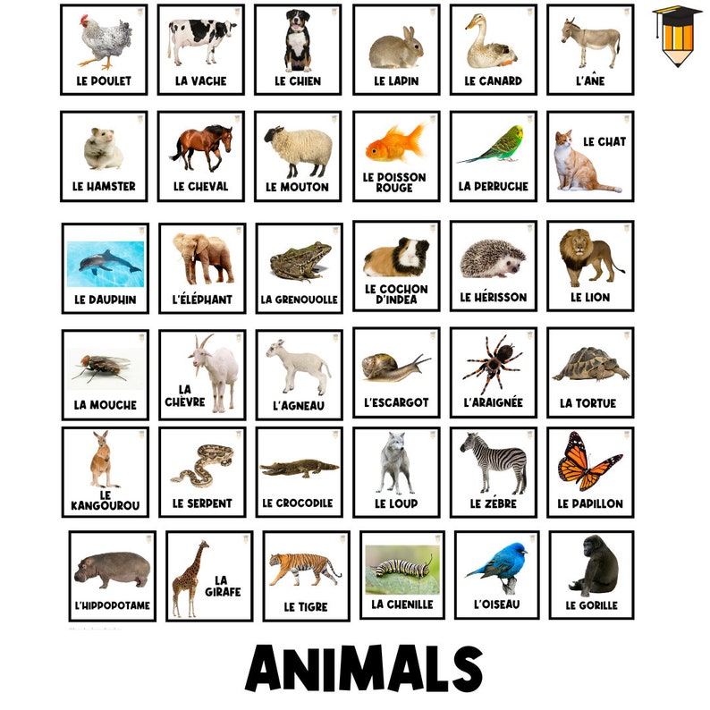 250 FRENCH Picture Cards First Then Board Visual Aid - Etsy