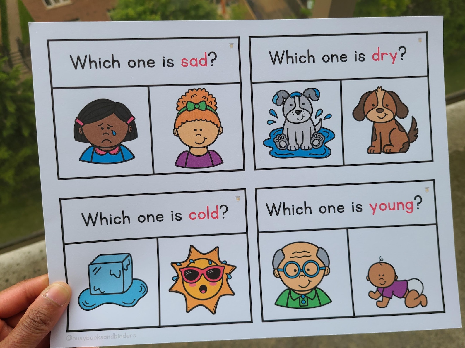 24 WH Questions | Functions Task Cards | Which One | Speech Therapy ...
