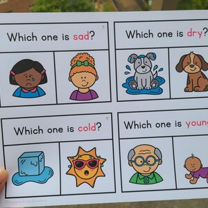 24 WH Questions | Functions Task Cards | Which One | Speech Therapy ...