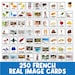 Human Anatomy Body Parts Body Organs Montessori Cards Flash Cards ...