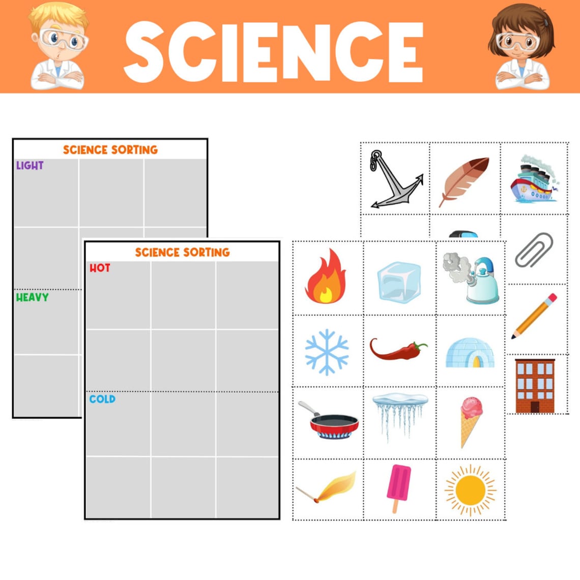Science Sorting Worksheets Kindergarten Grade One | Etsy