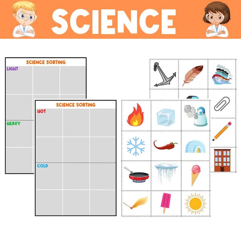 Science Sorting Worksheets Kindergarten Grade One | Etsy