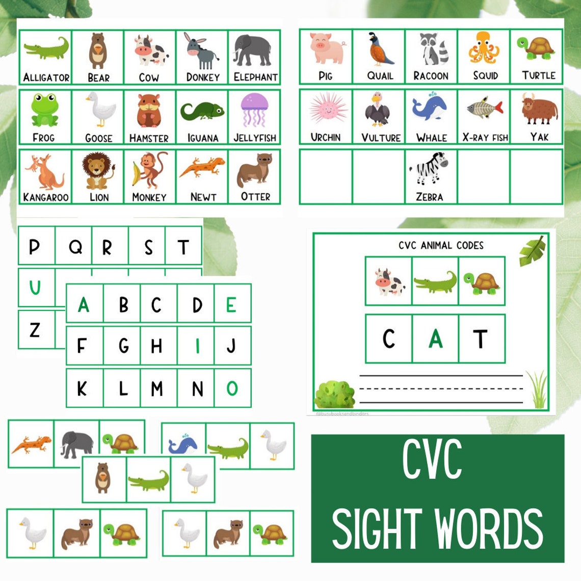 Sight Word Practice CVC Sight Words Literacy Centers - Etsy