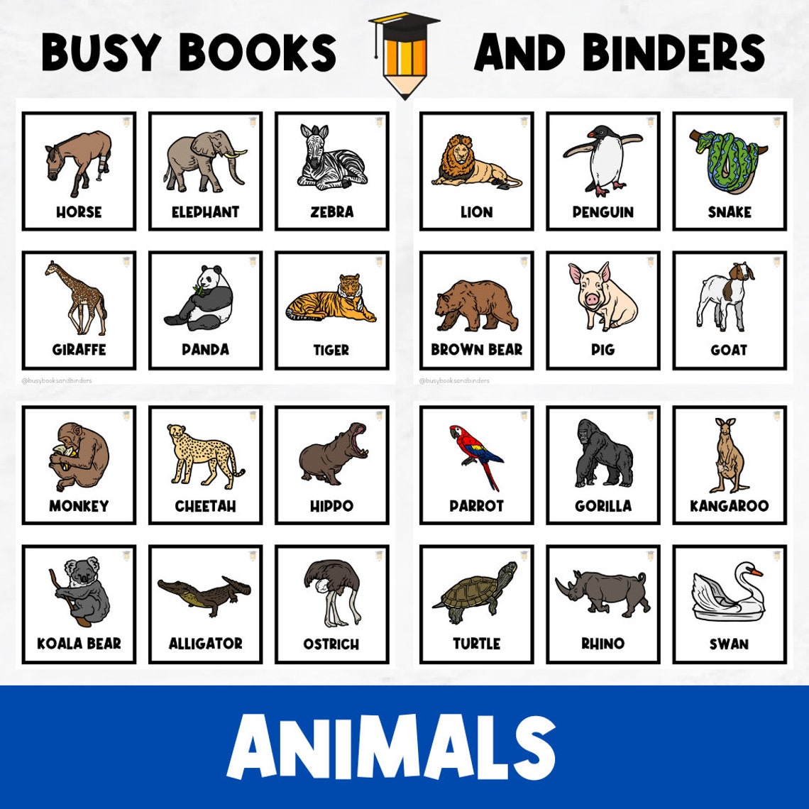 337 PICTURE CARDS | Colors | Numbers | Alphabet | Shapes | Animals ...