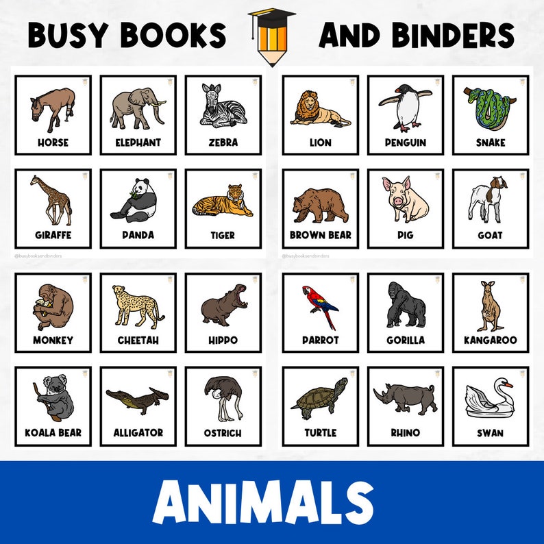 337 PICTURE CARDS | Colors | Numbers | Alphabet | Shapes | Animals ...
