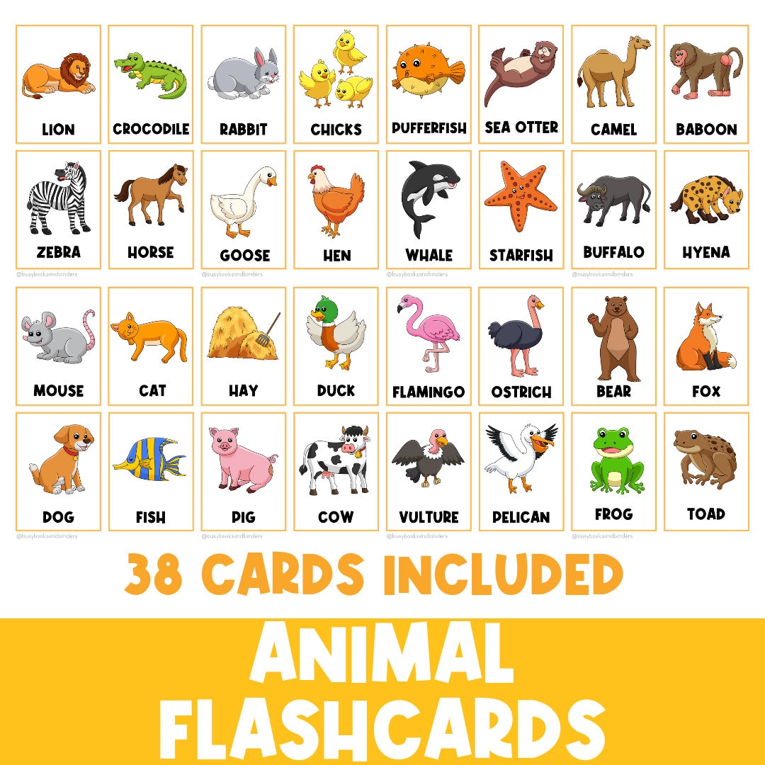 Animals Flashcards | Animal Identification | Farm | Ocean | Zoo ...