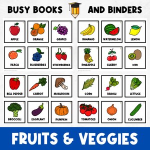 337 PICTURE CARDS | Colors | Numbers | Alphabet | Shapes | Animals ...