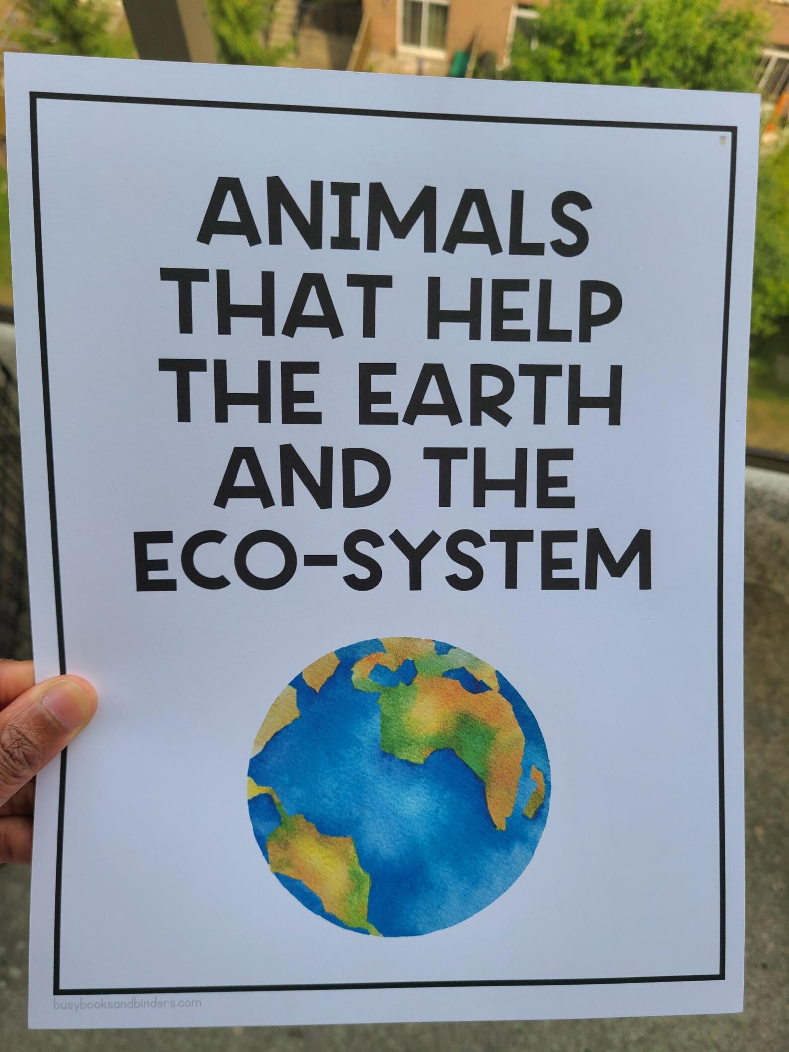 30 ANIMAL FACTS | Flashcards | Farm Animals | Zoo Animals | Wildlife ...