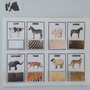 PHYSICAL COPY: Animal Print | Matching Sorting Activity | Animal ...