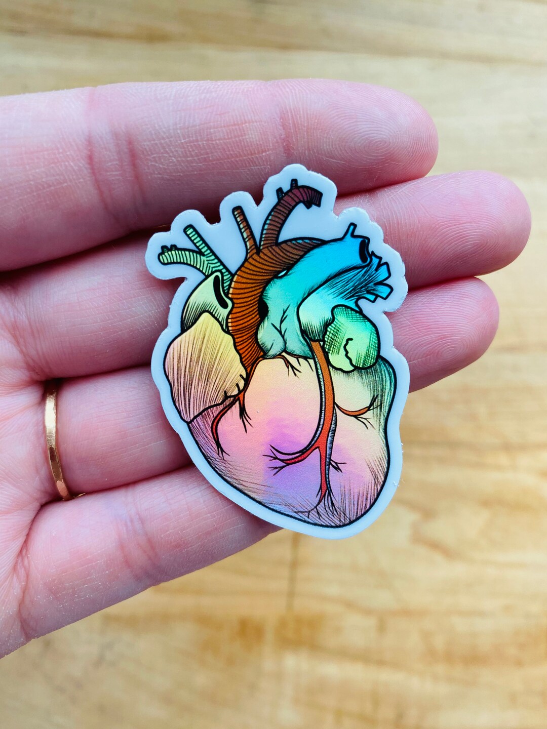 Mini Anatomical Heart Sticker, Holographic Heart Sticker, Anatomy ...