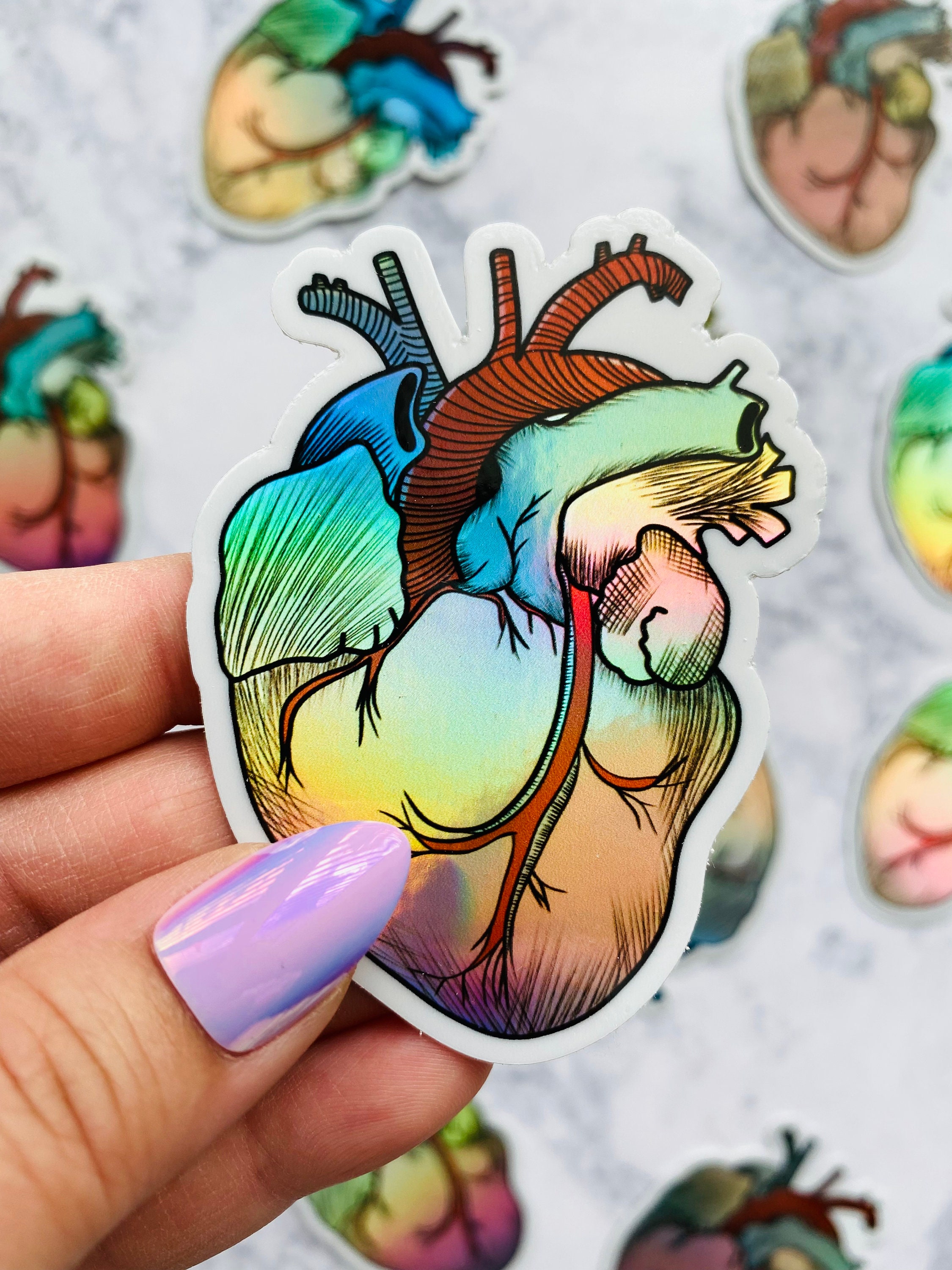 Anatomical Heart Sticker Holographic Heart Sticker Anatomy - Etsy