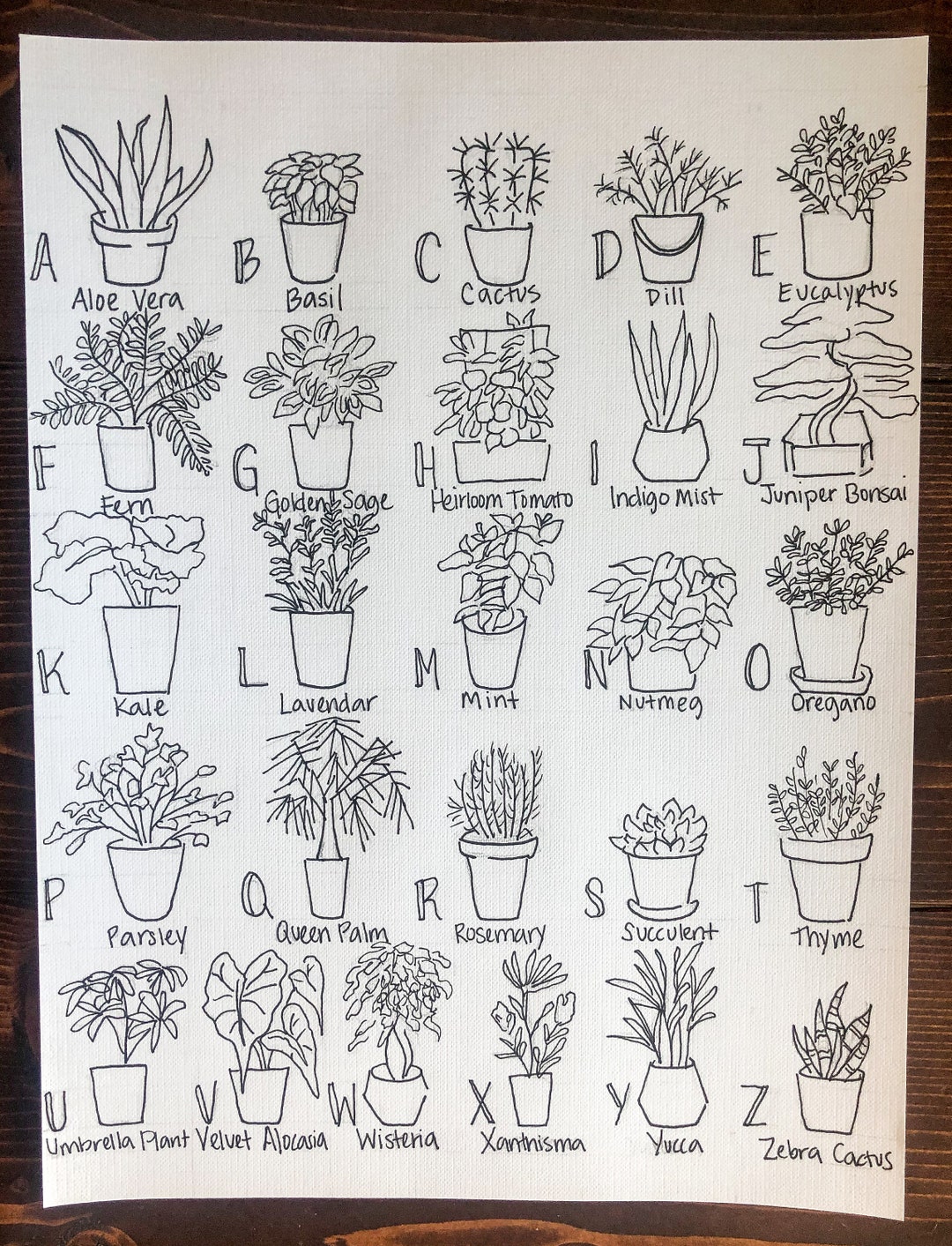 Plant Abc's - Etsy