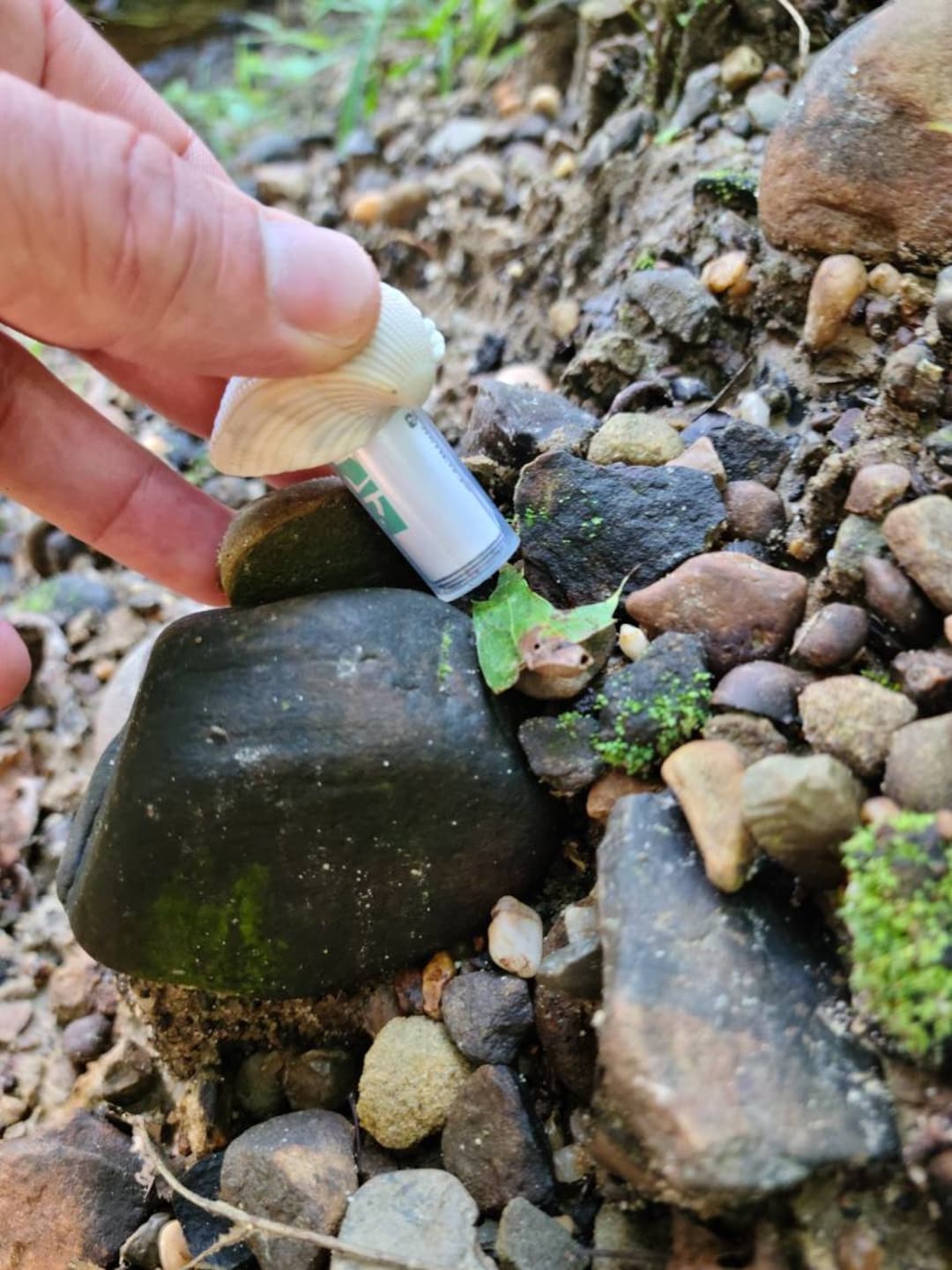 Evil Seashell Micro Geocaching Container - Etsy