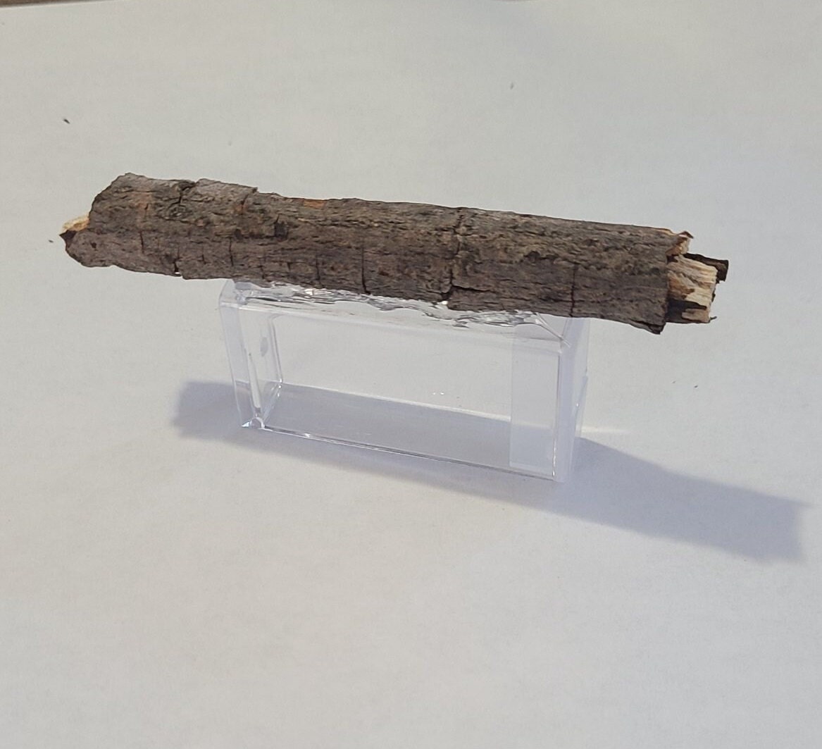 Evil Geocaching Stick Container - Etsy UK