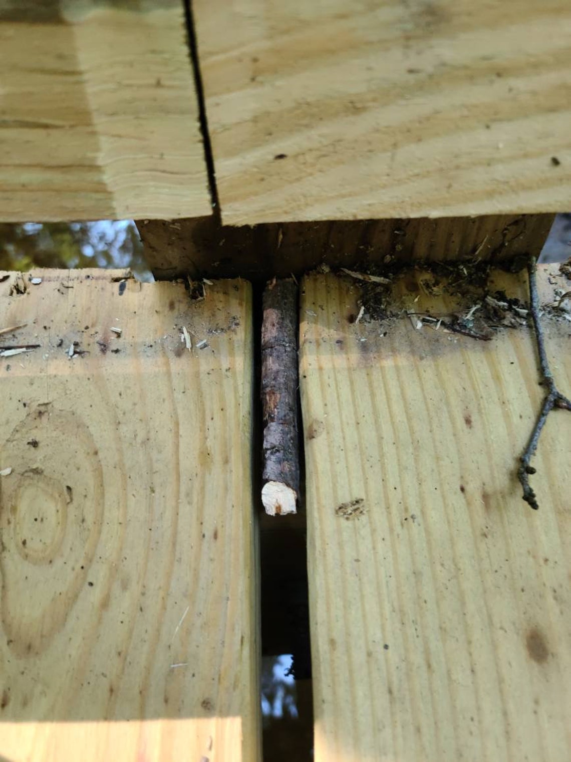 Evil Geocaching Stick Container - Etsy