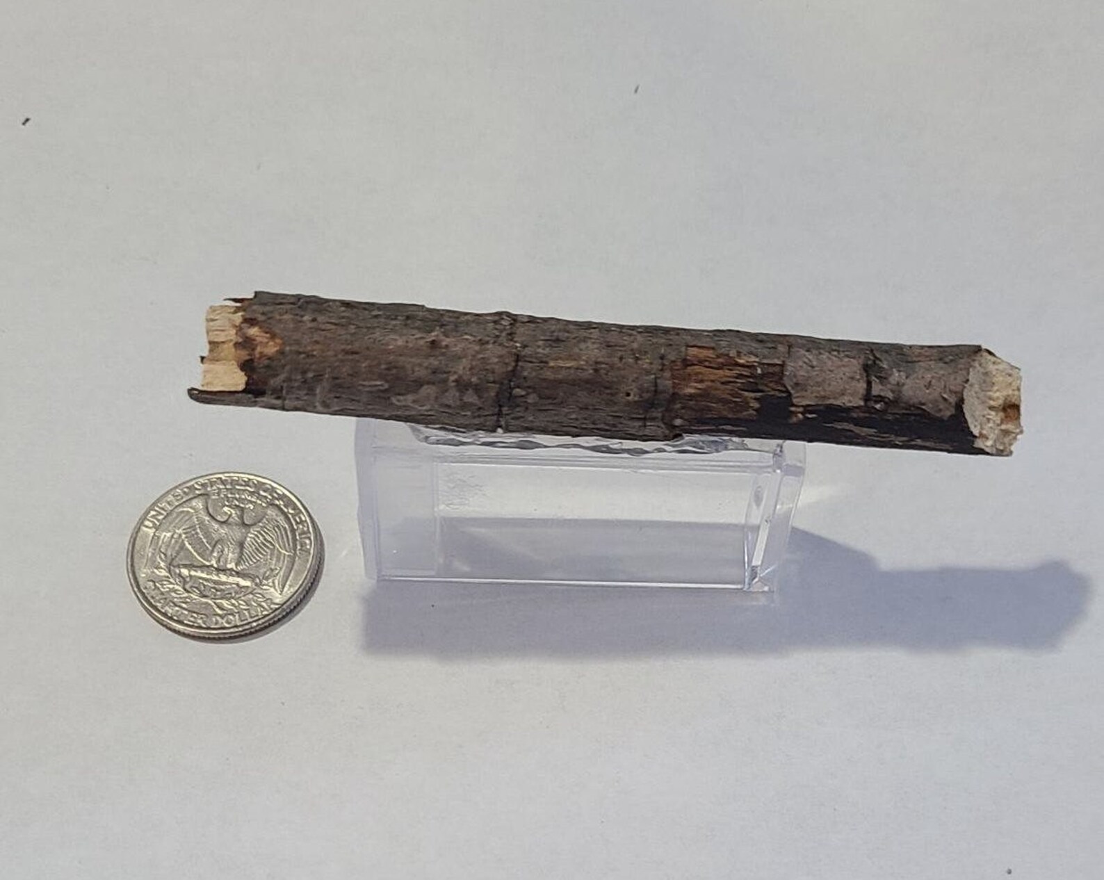 Evil Geocaching Stick Container - Etsy