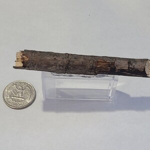 Evil Geocaching Stick Container - Etsy UK