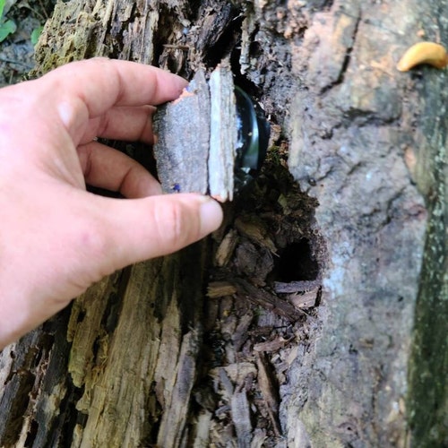 Evil Geocaching Stick Container - Etsy