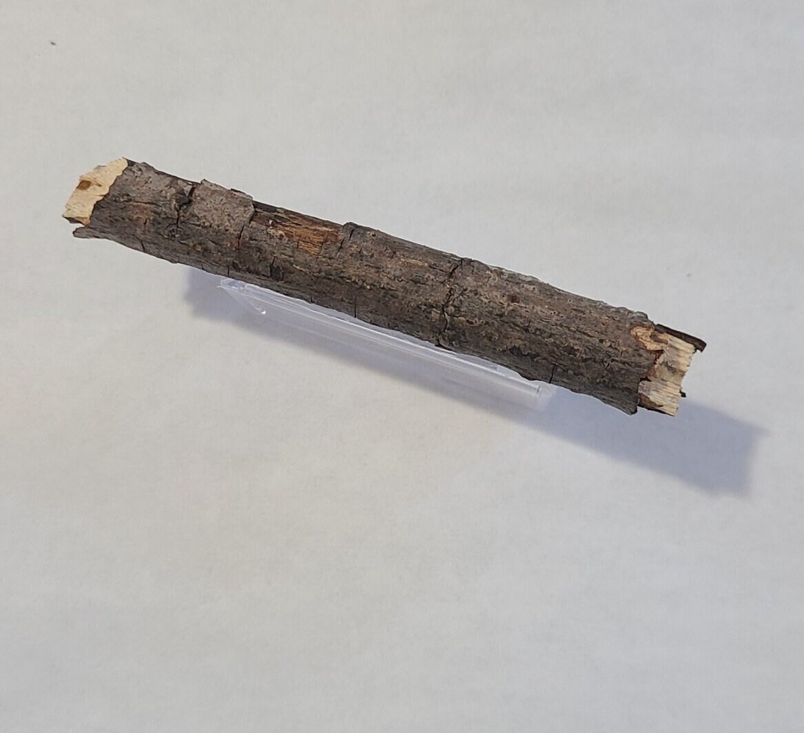 Evil Geocaching Stick Container - Etsy UK