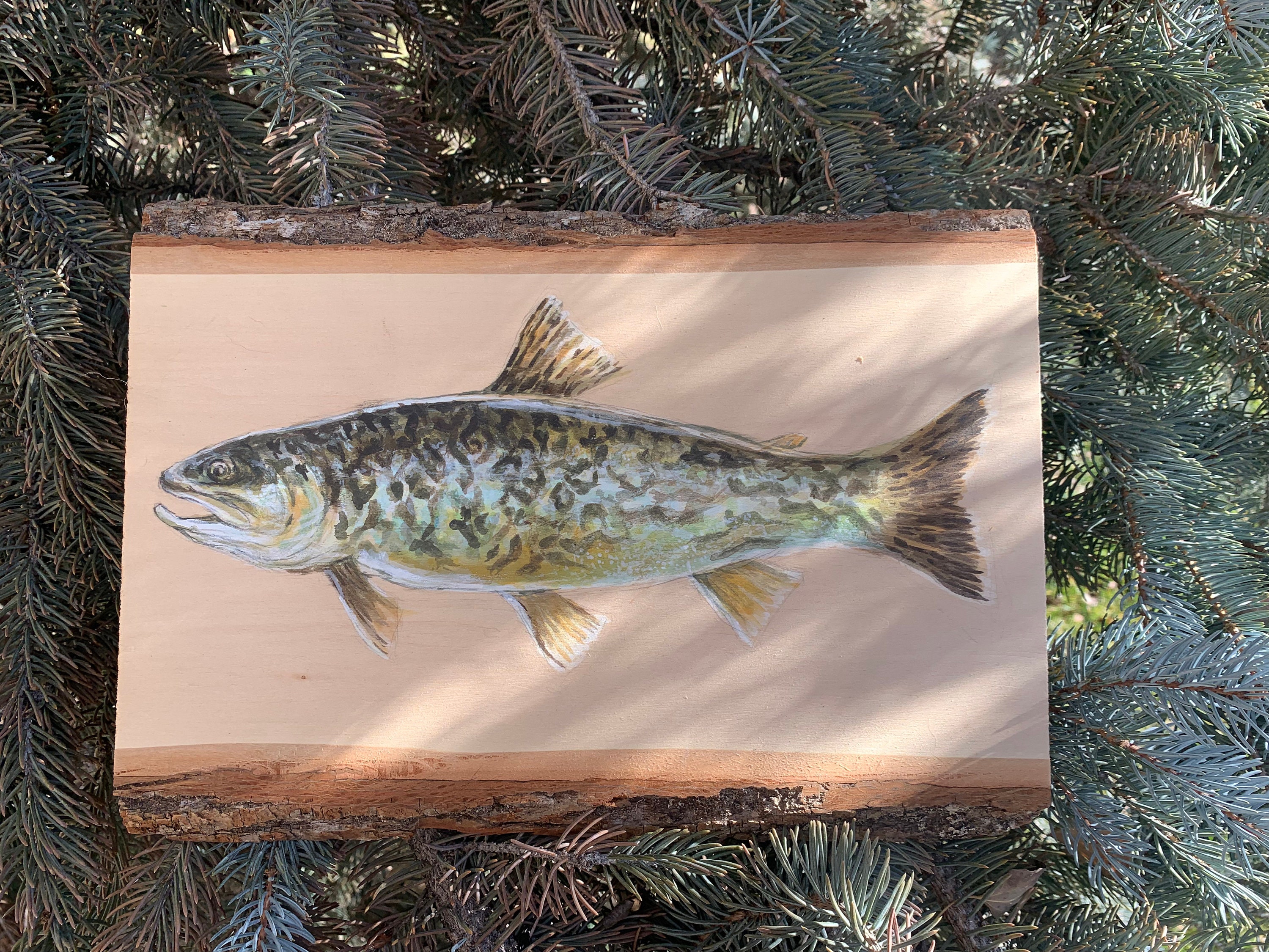 Tiger Trout Painting Acrylic on Wood - Etsy