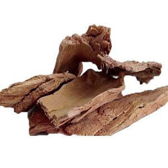 Neem Tree Indian Lilac Whole Bark Nimba Herb Azadirachta - Etsy