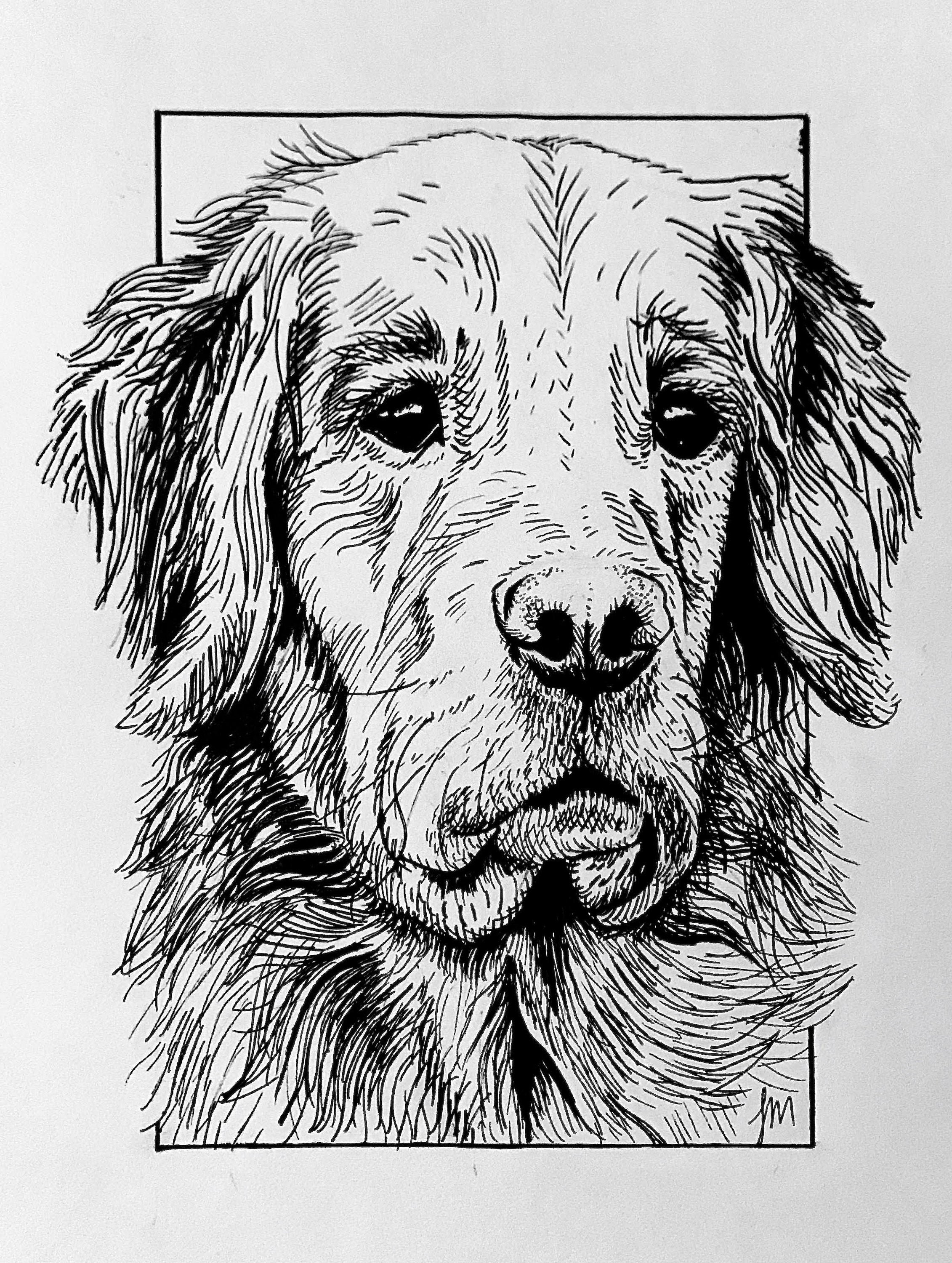 Dogs Ink Drawing