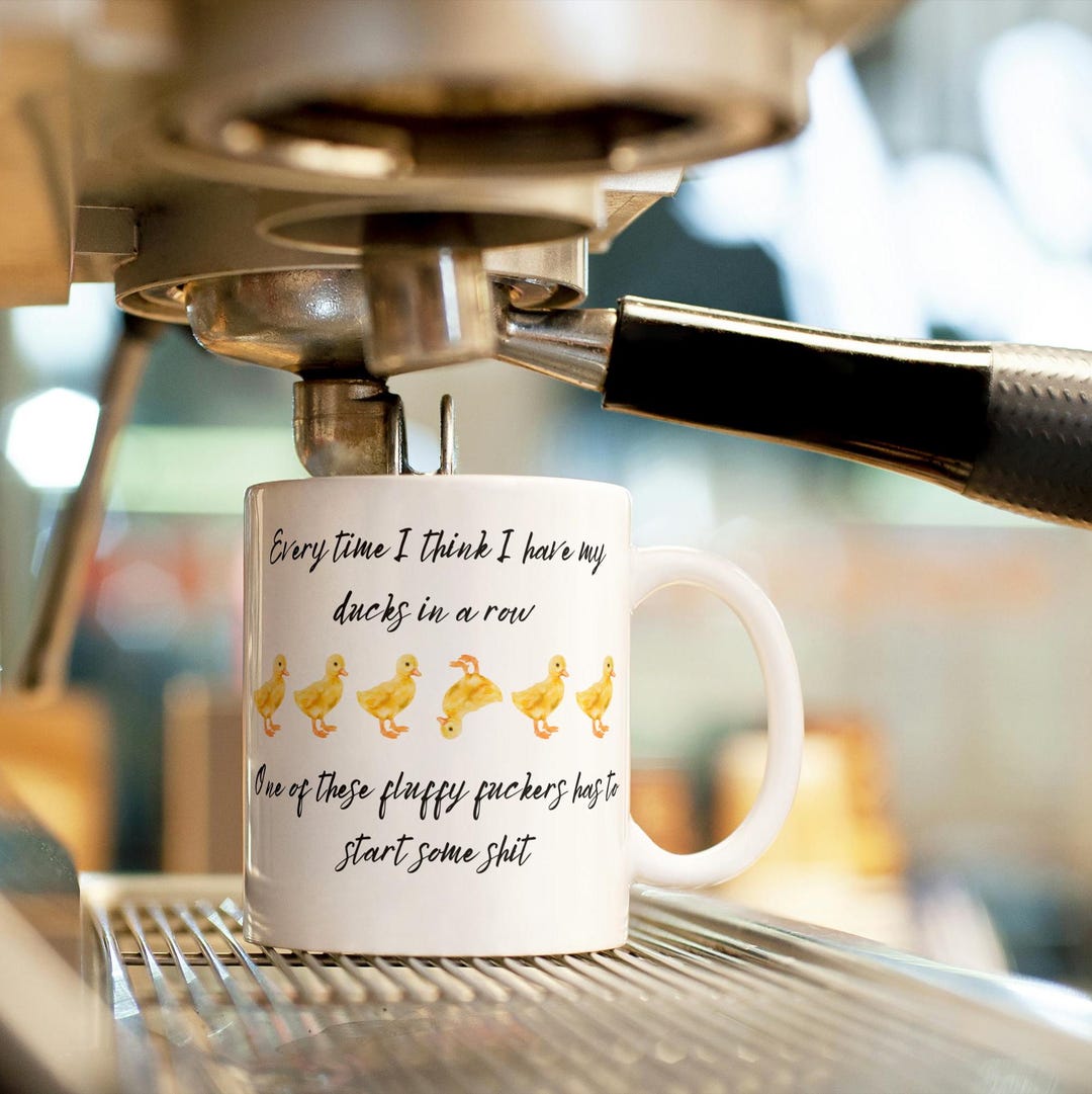Funny Ducks Ceramic Mug, I Have My Ducks in a Row Coffee Cup, Quirky ...