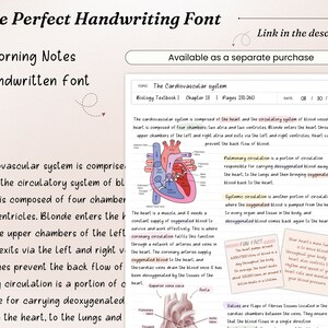 Digital Student Notebook Bundle: iPad Notetaking Templates (PDF) - Etsy