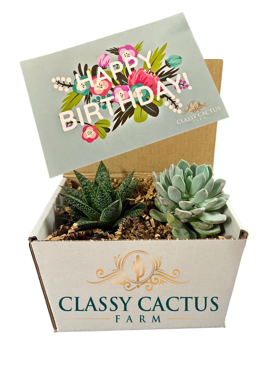 Succulent Gift Box - Floral Happy Birthday - 2 LIVE Succulents - Etsy