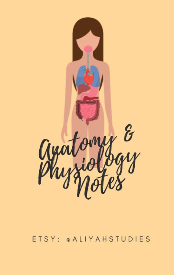 Anatomy And Physiology 1 2 Notes Etsy anatomy-and-physiology-1-2-notes-etsy