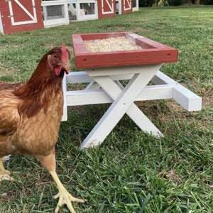Amish Chicknic Table - A Picnic Table for Chickens - Etsy