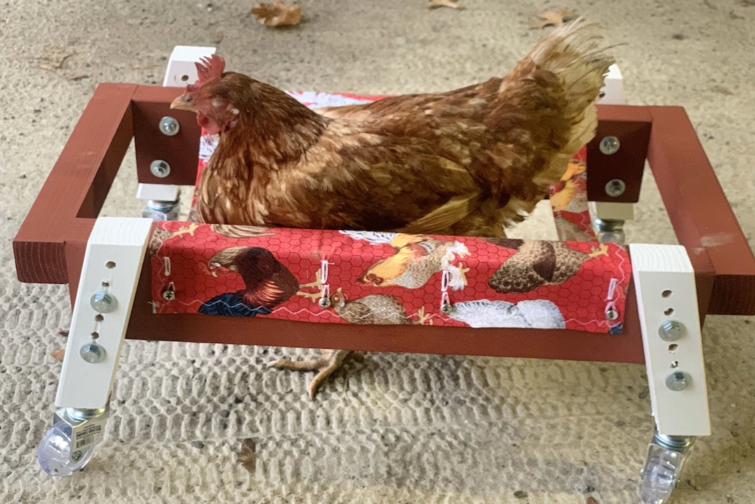 Chicken Wheelchair - Amish Made - Etsy