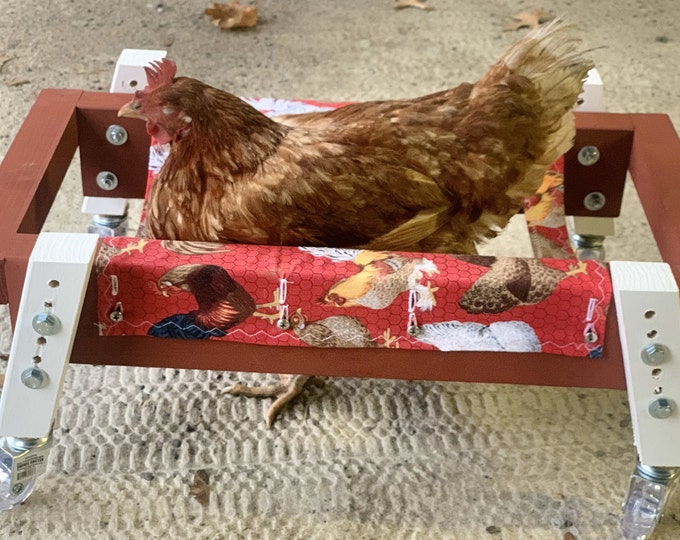 Chicken Wheelchair - Amish Made - Etsy