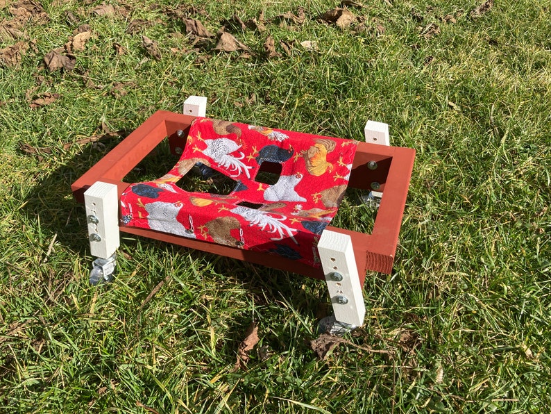 Chicken Wheelchair - Amish Made - Etsy