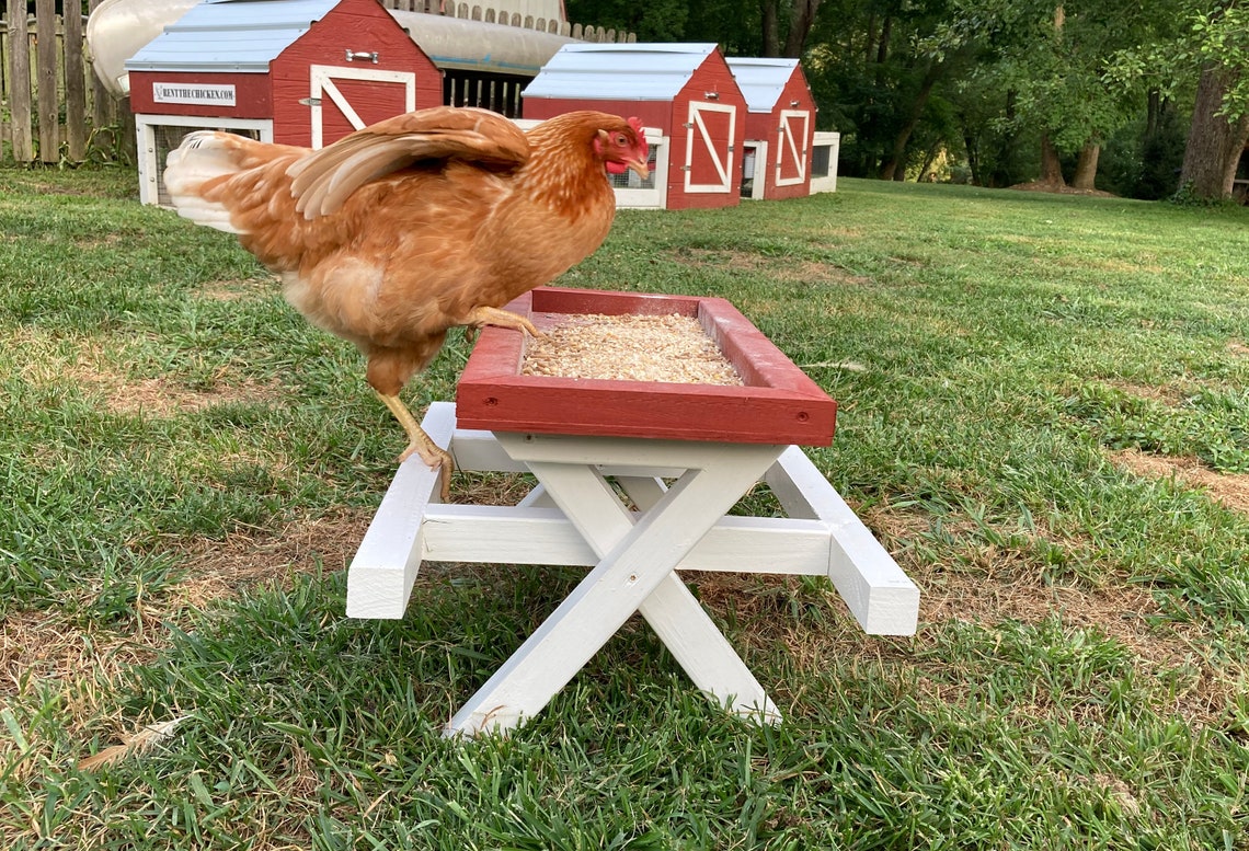 Amish Chicknic Table A Picnic Table for Chickens | Etsy