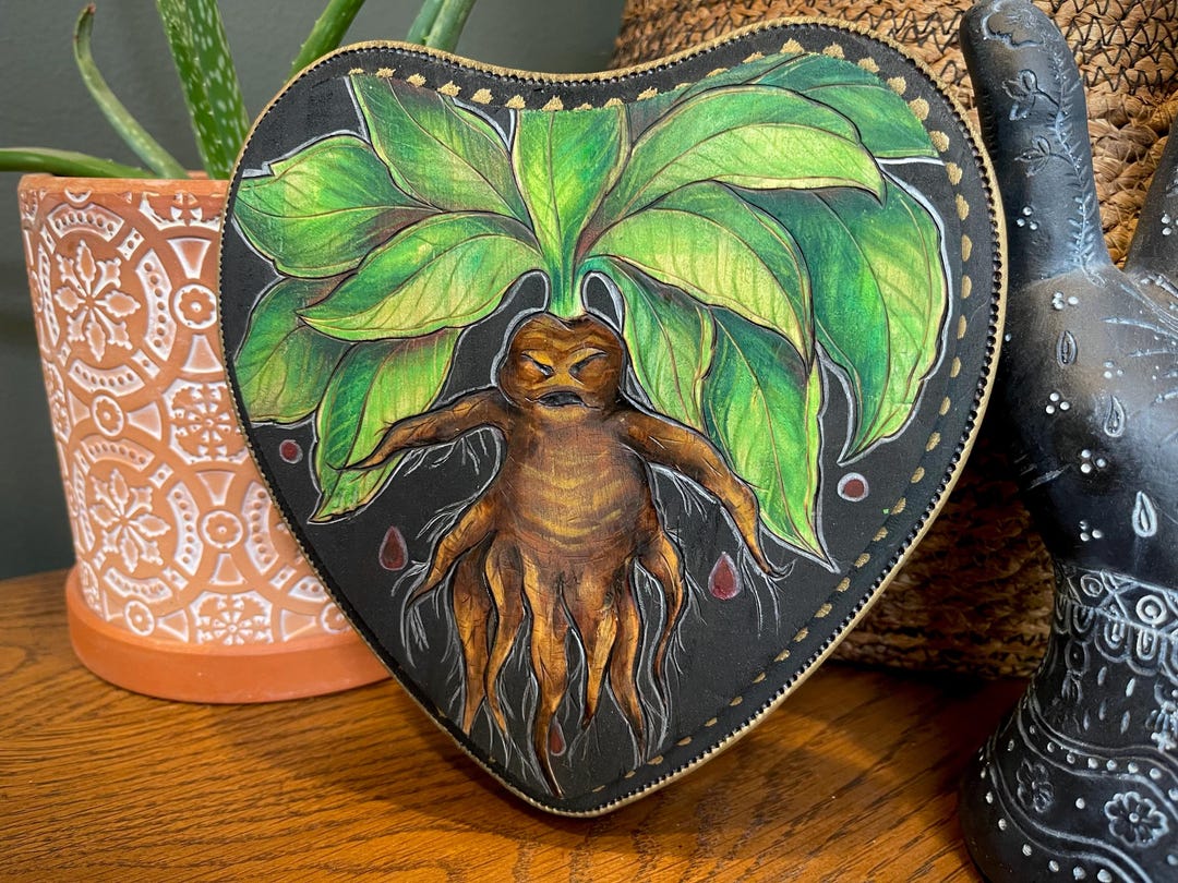 Mandrake Wood Burning, Pyrography Art, Heart Shaped Acrylic Painting ...