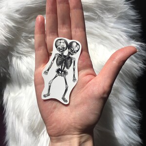 Dark Aesthetic Skeleton Sticker | Black and Grey Waterproof Polyester ...