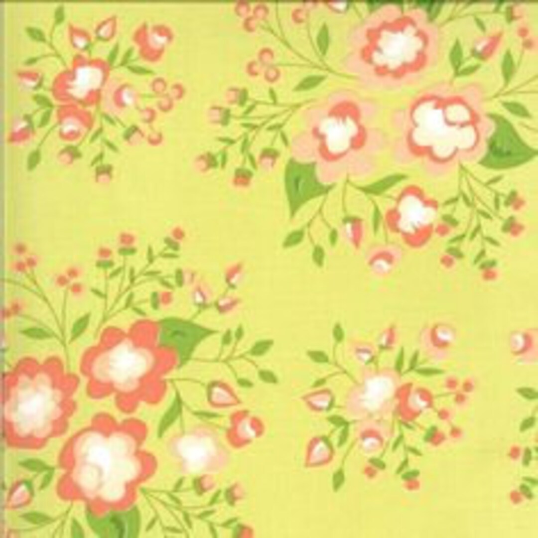 Apricot and Ash Continuous 1/2 Yard Corey Yoder 29101 Coriander Quilts ...