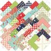 Vintage Picnic Fat Quarter Bundle 40 Pcs Bonnie and - Etsy