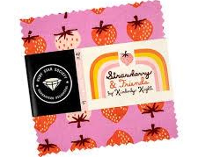 Strawberry and Friends Charm Pack Squares - Kimberly Kight for Ruby ...