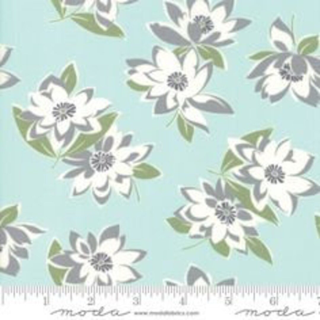 At Home 1/2 Yard Aqua - 55200 - Bonnie 's House - Moda - OOP - Aqua ...